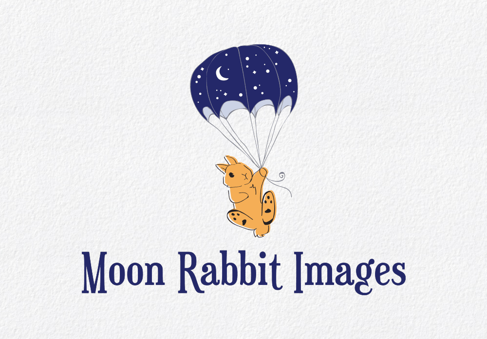 Moon Rabbit Images | Advantage Design
